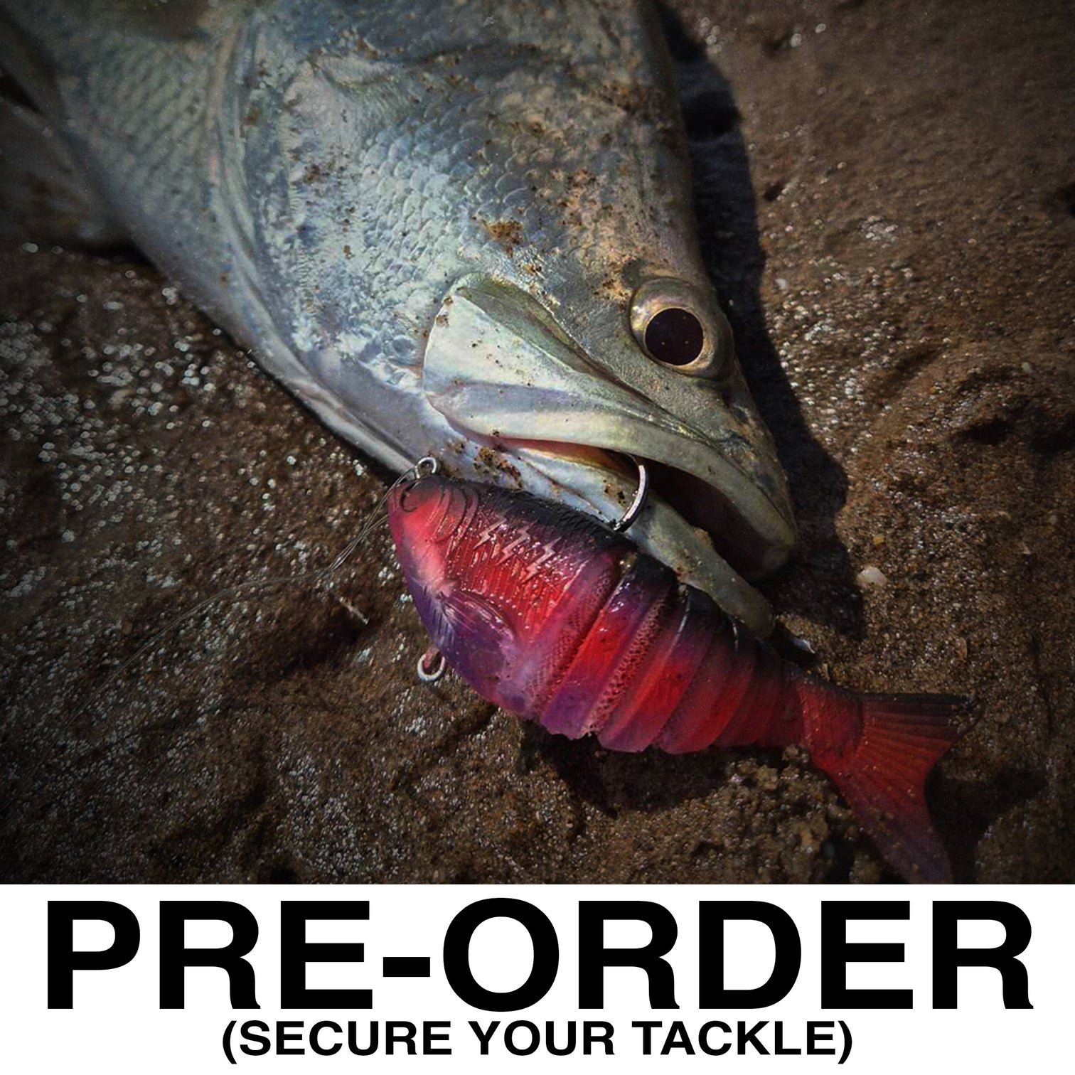 Online Fishing Tackle - Byron Bay | Missing At Sea